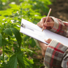 What is a PACA Claim and How to File a Complaint?